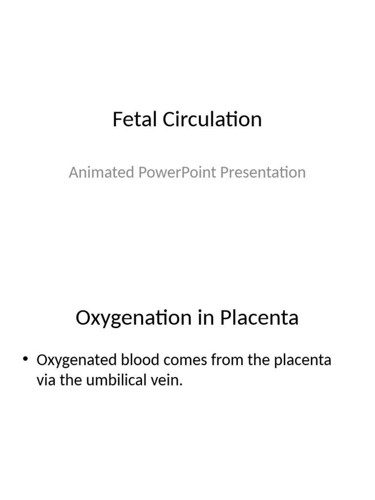 Fetal Circulation Animated | PDF