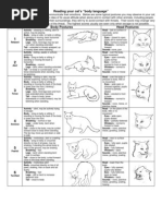 Cat FAS and Frustration Management Guide | PDF