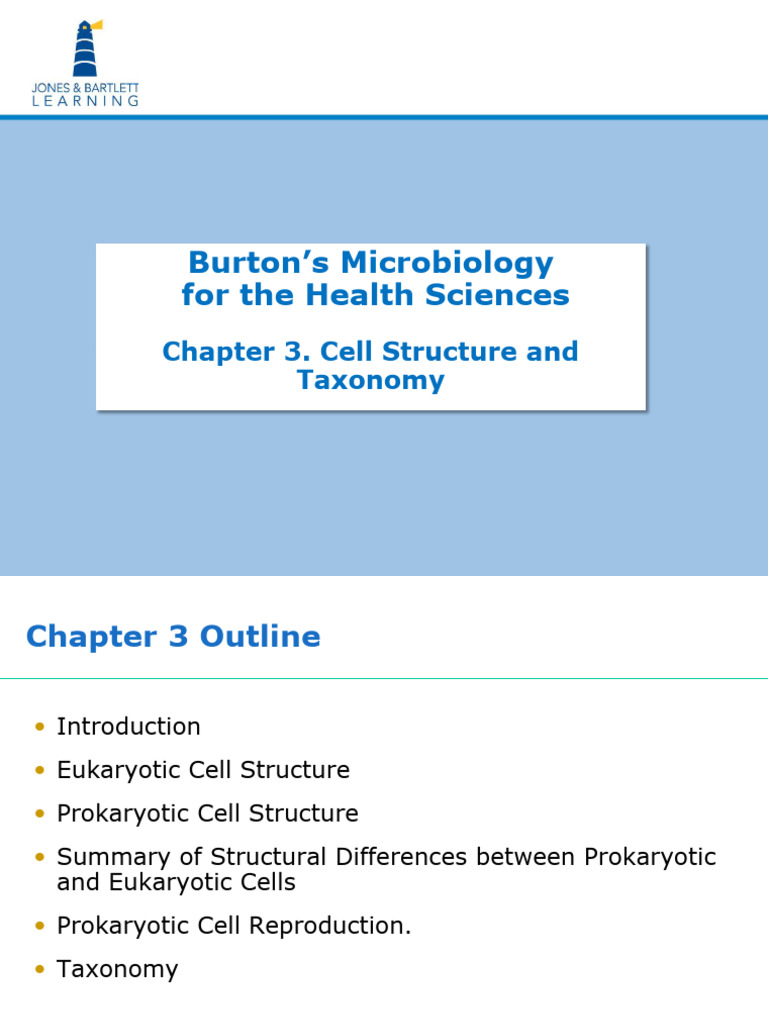 Eukaryotic Cell Structure Overview | PDF | Cell (Biology) | Ribosomal Rna
