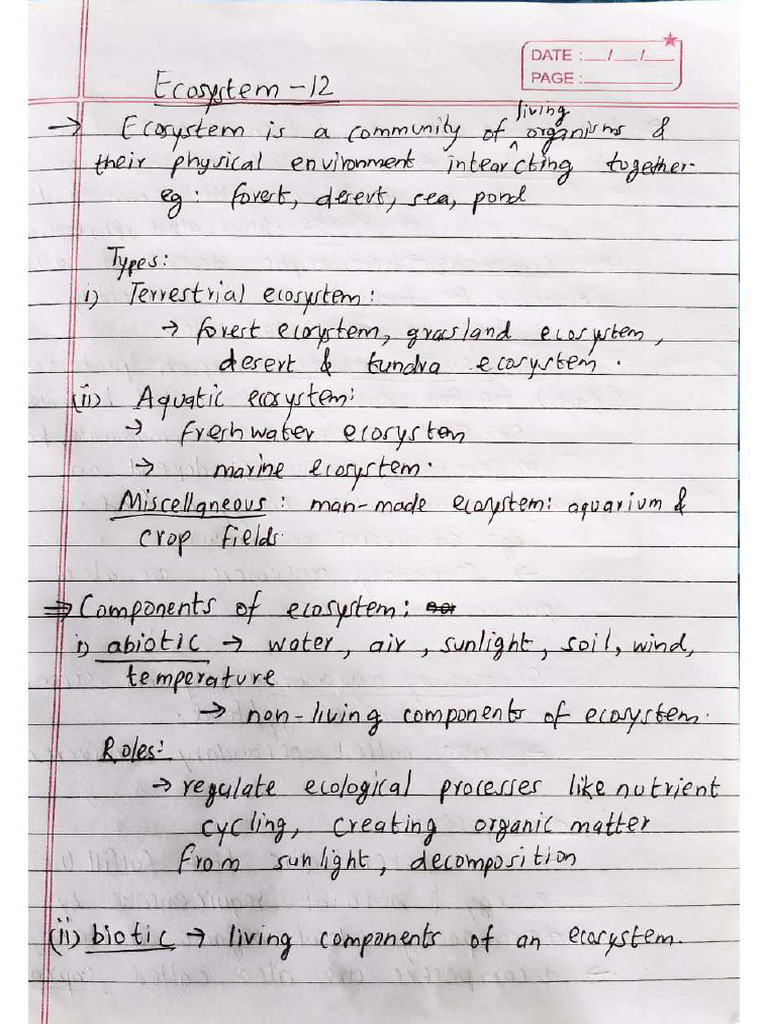 Chapter 12 Notes Class XII | PDF