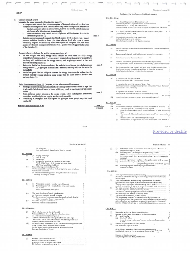 Food in Human Pages Marking Editable | PDF