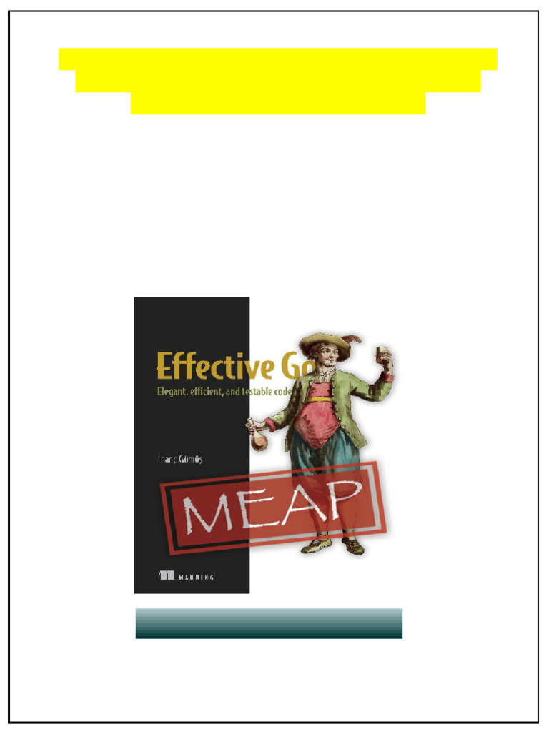 Effective Go: Elegant, Efficient, and Testable Code (MEAP Version 3) 1 ...