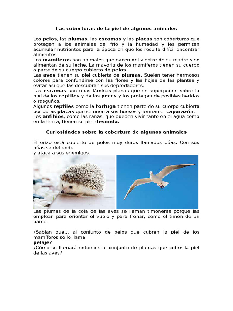 Las Coberturas de La Piel de Algunos Animales | PDF
