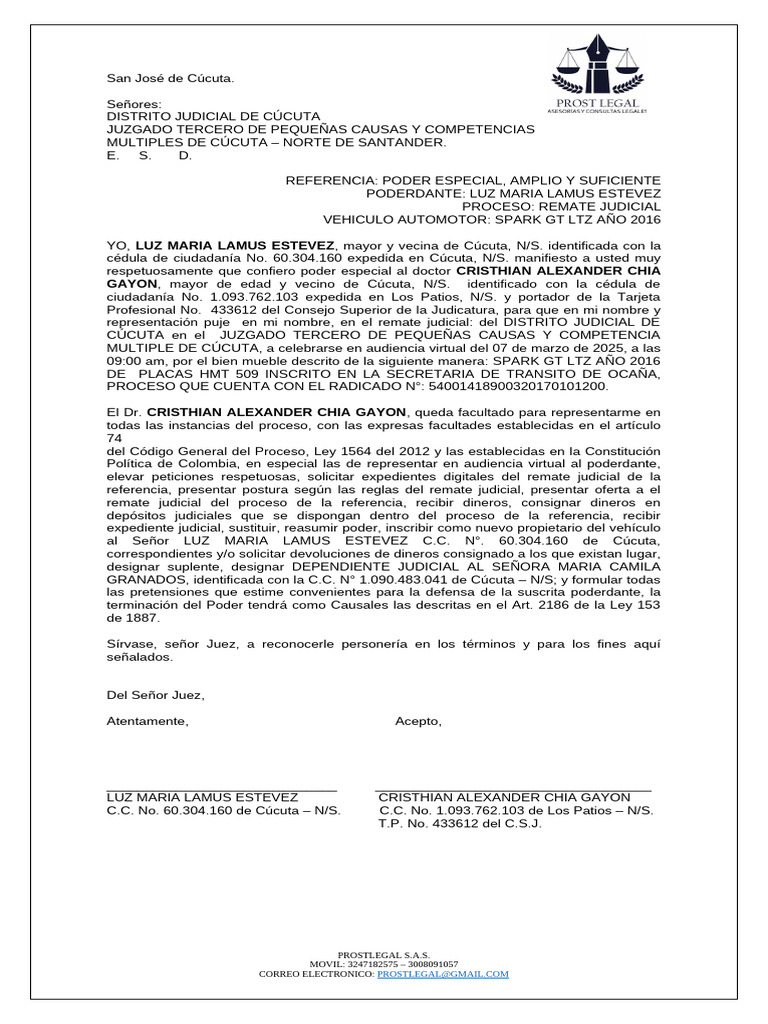 Poder Especial para Remate Judicial Cúcuta | PDF