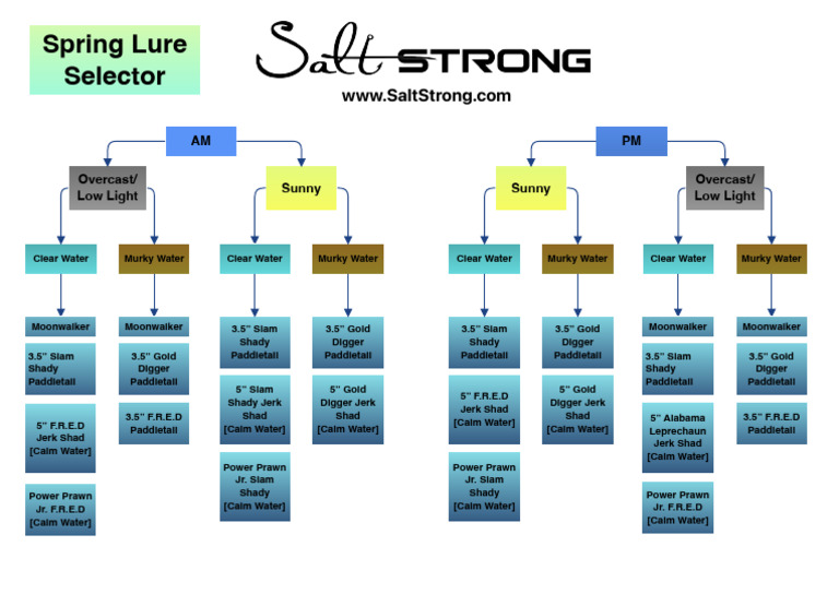 Spring Fishing Lure Guide | PDF