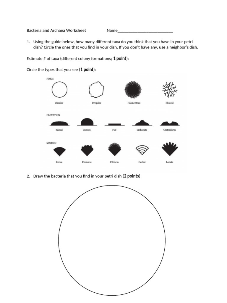 Bacteria and Archaea Identification Worksheet | PDF | 16 S Ribosomal ...