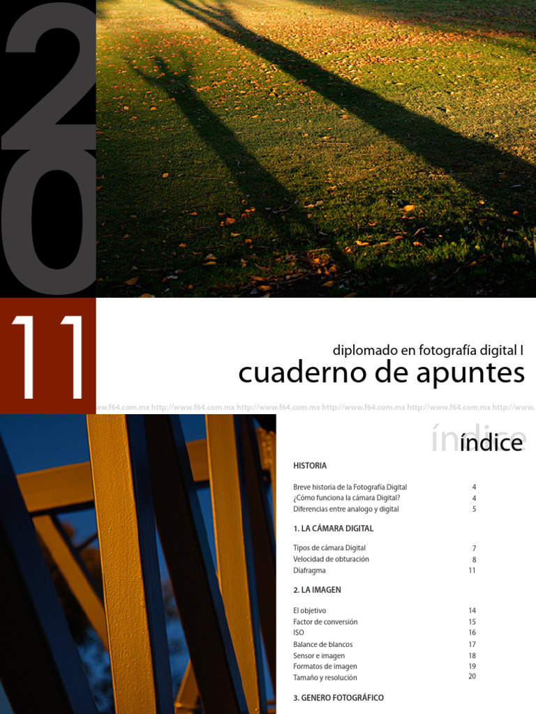 Diplof f64 | PDF | Cámara | Dispositivo de carga acoplada