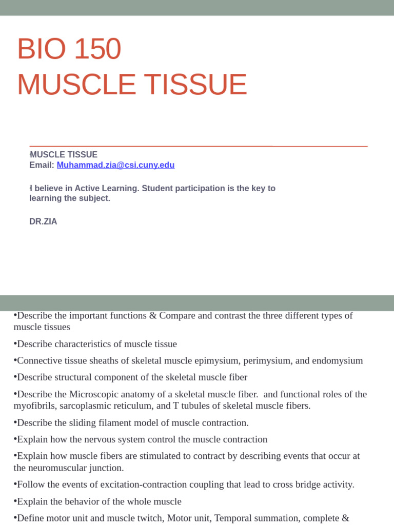 Types and Functions of Muscle Tissue | PDF | Muscle Contraction ...