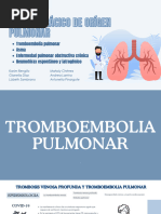 Angiotac para TEP: Protocolo y Hallazgos | PDF | Infarto de miocardio ...