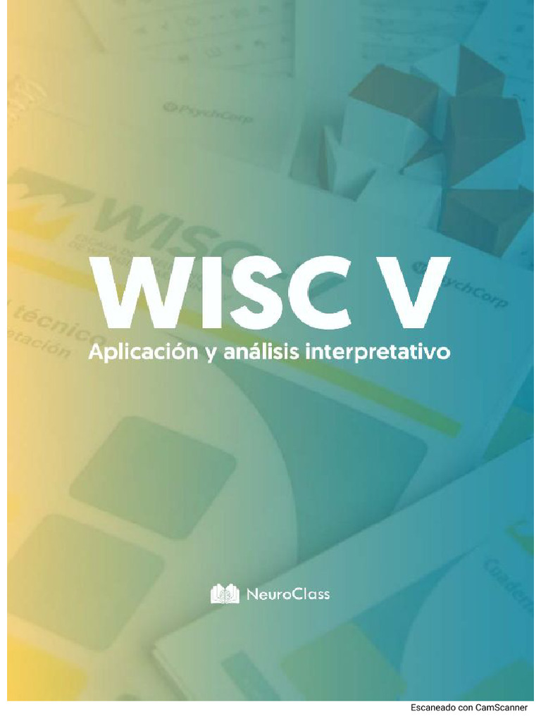 Manual Aplicacion y Analisis Interpretativo WISC V | PDF