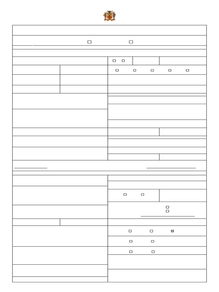 Work PermitApplicationForm | PDF | Government And Personhood | Government