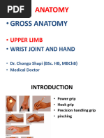 Hand and Wrist Anatomy Overview | PDF | Hand | Joints