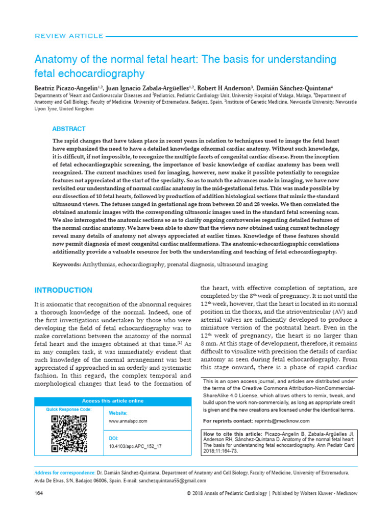 Anatomy Normal Fetal Heart the Basis Understanding Fetal Echocardiography | PDF | Heart Valve ...