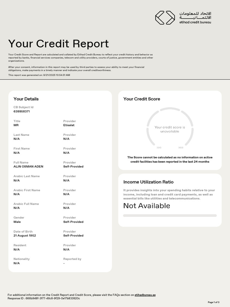 Credit Report | PDF | Credit History | Credit Score