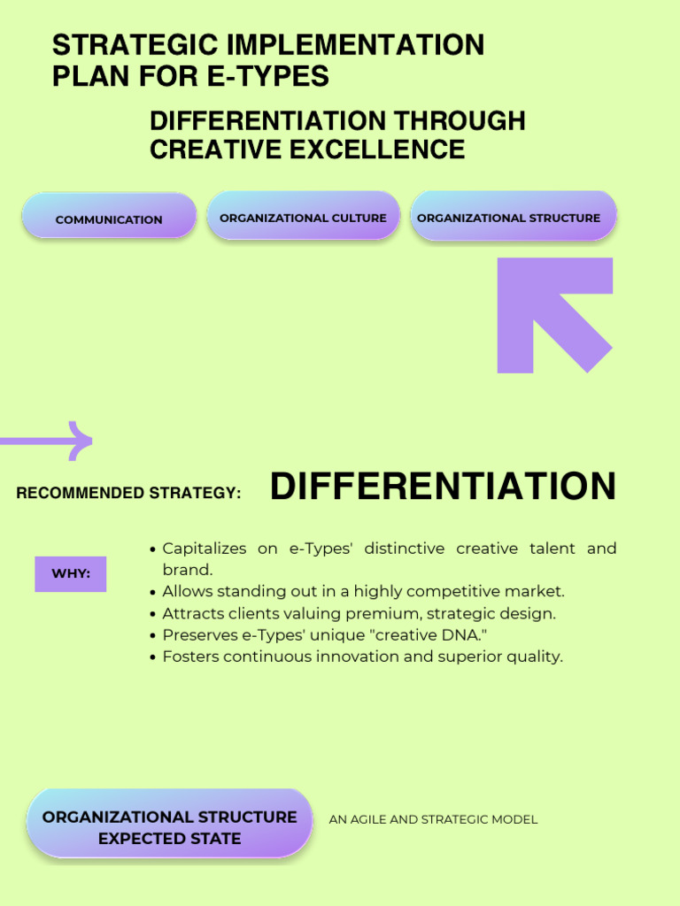 E-Types Strategic Implementation Plan | PDF | Organizational Structure ...