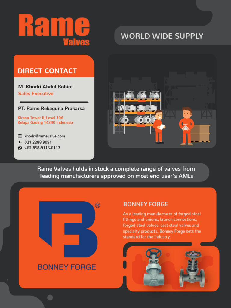 Rame Valves: Comprehensive Product Range | PDF | Valve | Alloy