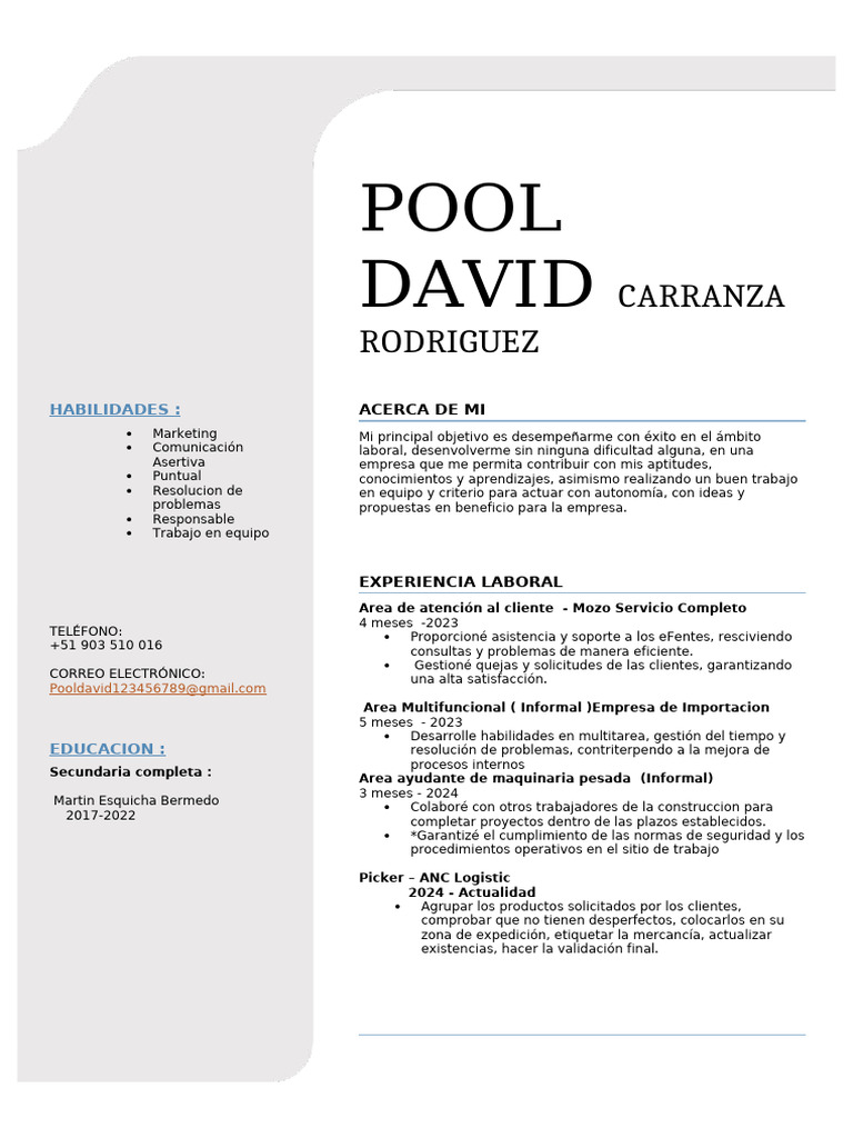 Perfil Profesional de David Carranza | PDF | Business