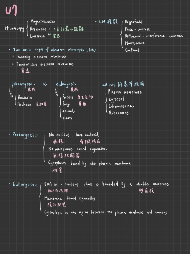 Types of Electron Microscopes Explained | PDF | Organelle | Eukaryotes