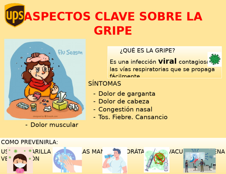 Claves para prevenir la gripe | PDF