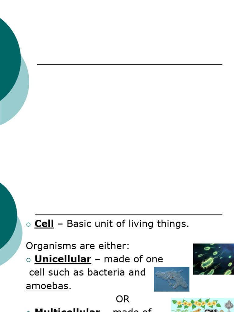 Cell Theory, Prokaryotes Eukaryotes | PDF | Cell (Biology) | Mitosis