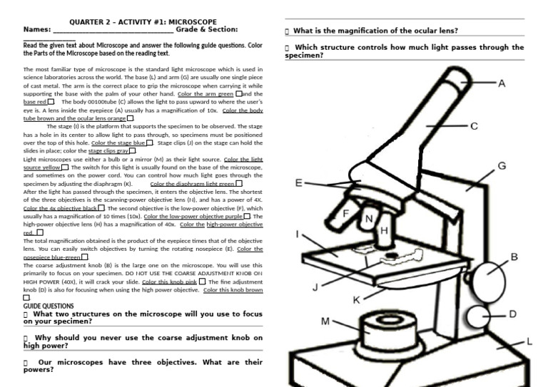 Quarter 2 Activity 1 Edited | PDF | Optical Devices | Light