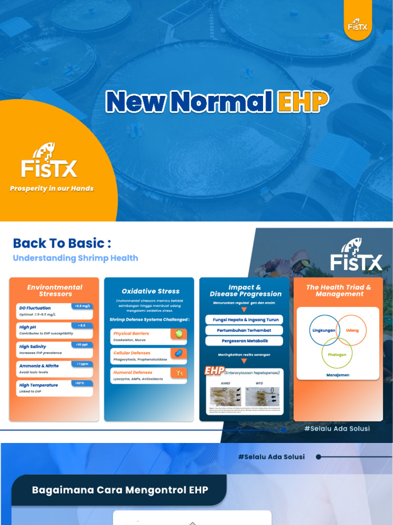 Pengelolaan EHP untuk Udang Sehat | PDF