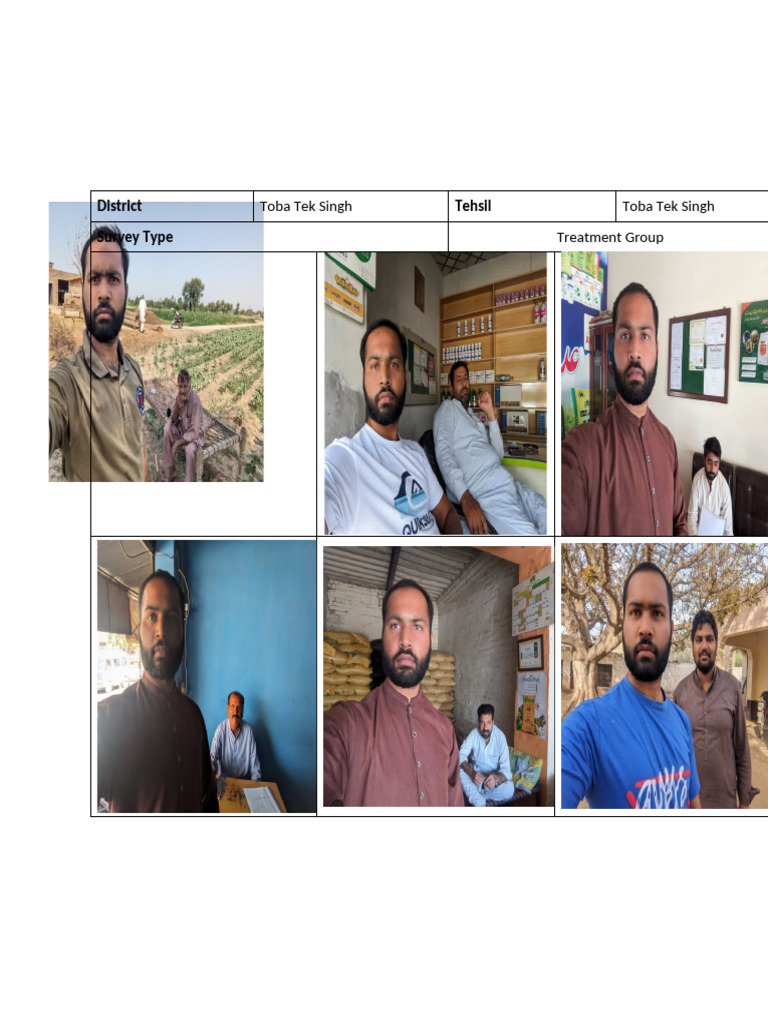 Sample Pictorial Report-2 | PDF