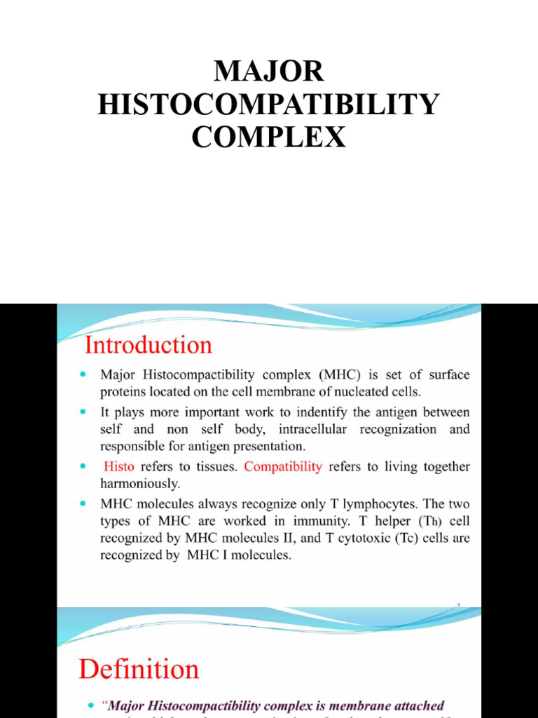 Major Histocompatibility Complex | PDF