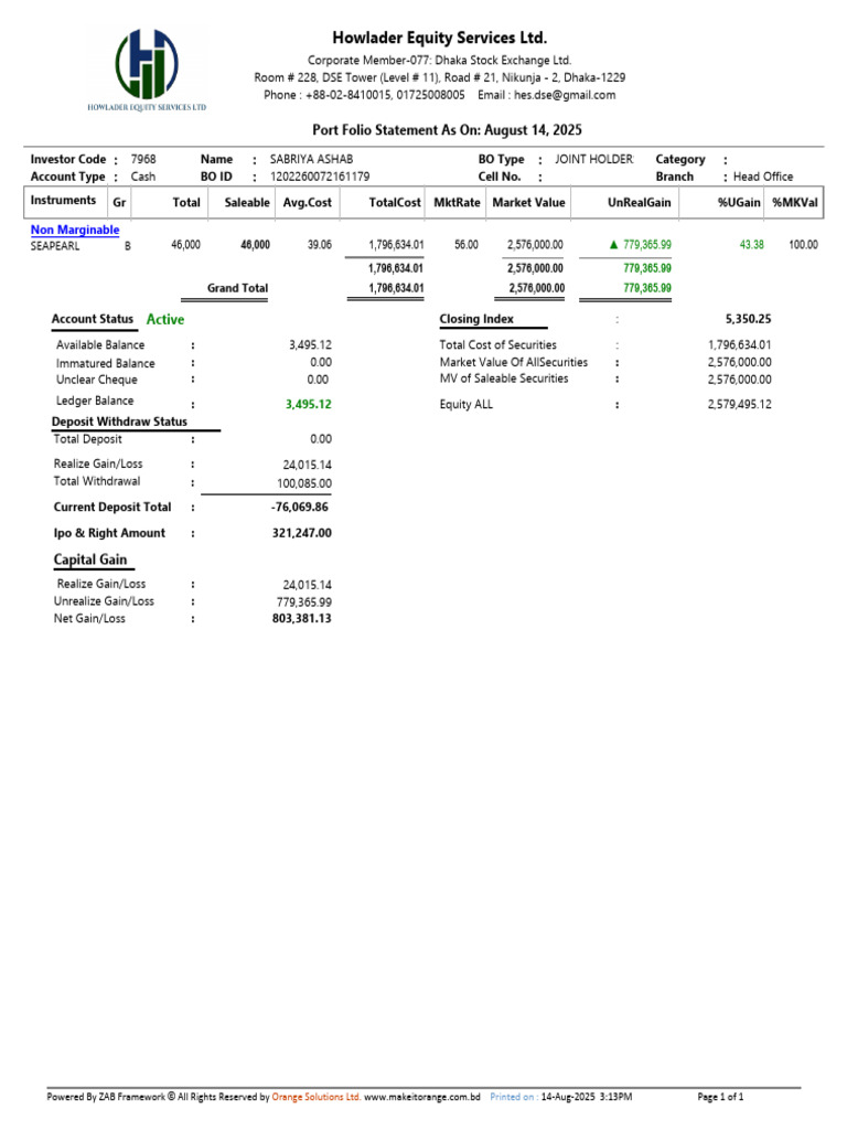 Equity Portfolio Statement Summary | PDF | Securities (Finance ...