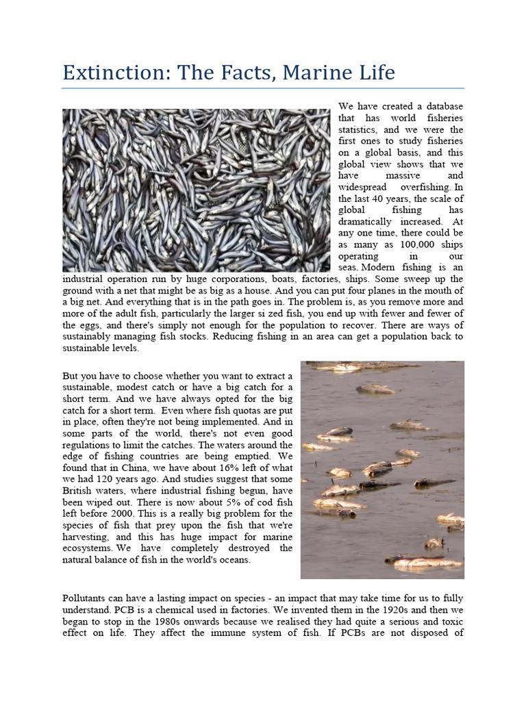 Global Overfishing and Marine Impact | PDF | Polychlorinated Biphenyl ...