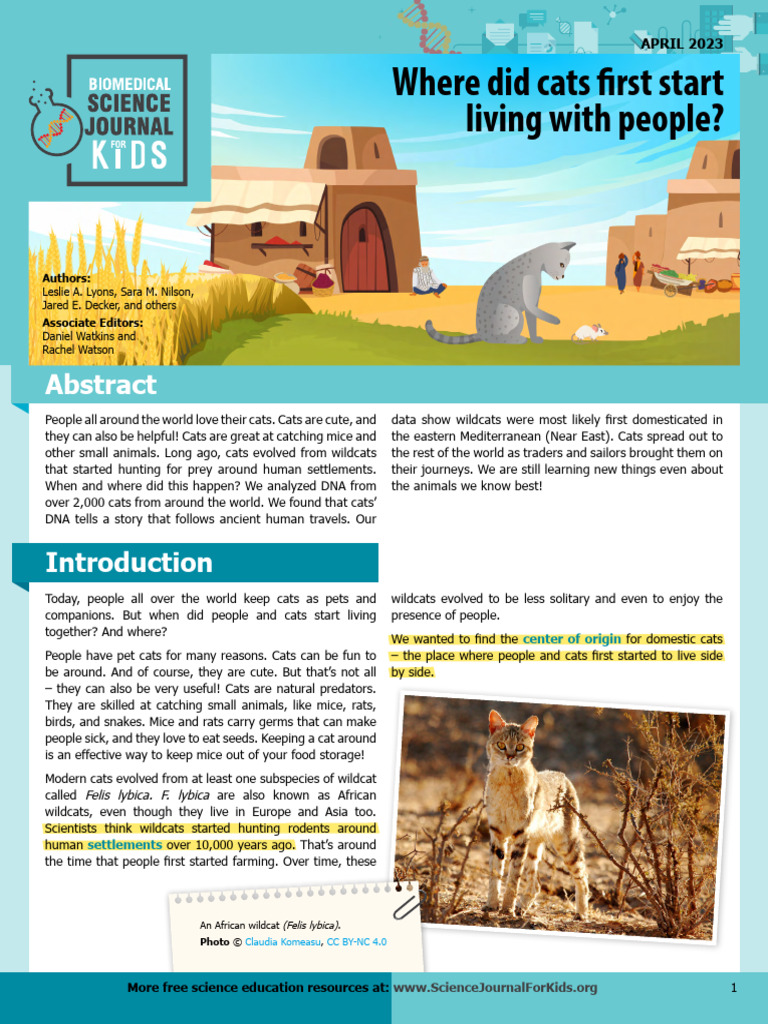 Evolution of Cats and Human Companionship | PDF | Cats | Felines