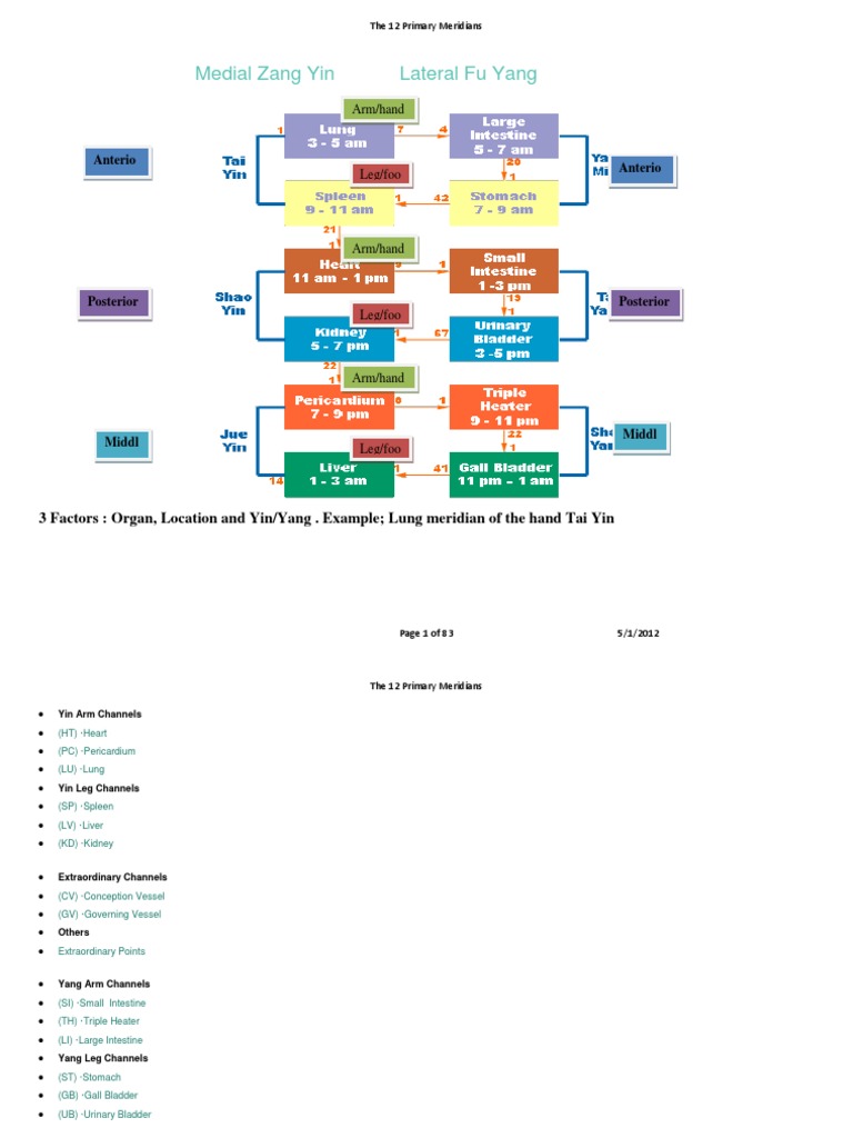 Overview of the 12 Body Meridians | PDF | Arm | Elbow