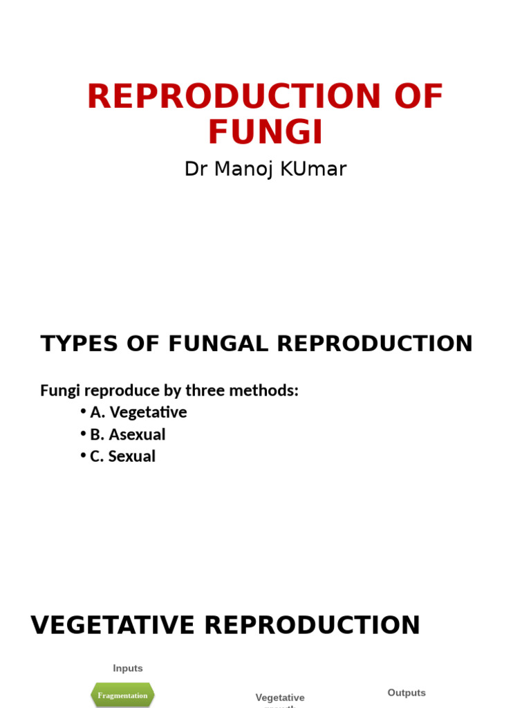 Fungal Reproduction Methods Explained | PDF | Fungus | Spore