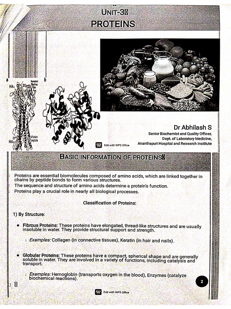 Proteins | PDF