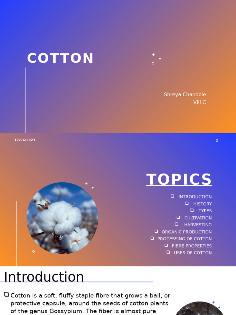 Shreya Chandole VIII C Science | PDF | Cotton | Spinning (Textiles)