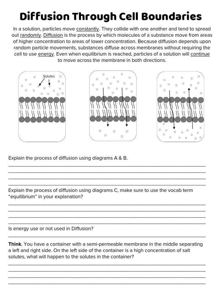 Understanding Diffusion Across Membranes | PDF | Diffusion | Cell Membrane
