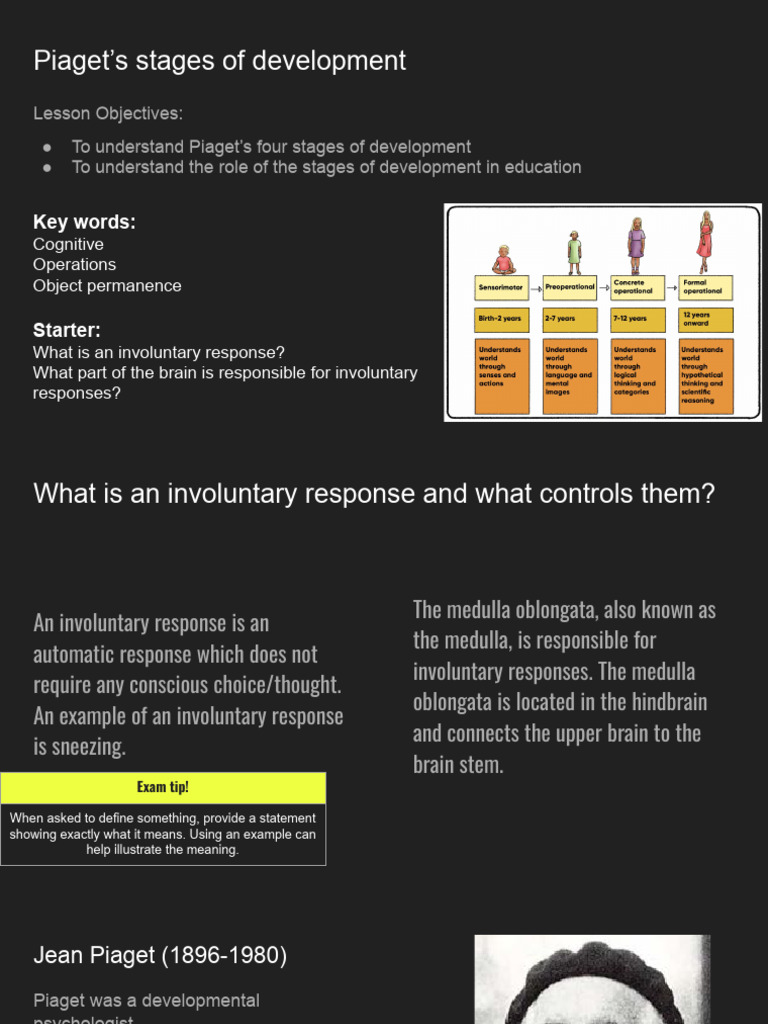 Piaget's Four Stages of Cognitive Development | PDF | Schema ...