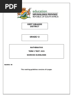 Grade 12 Mathematics Exam Guidelines 2025 | PDF | Mathematics