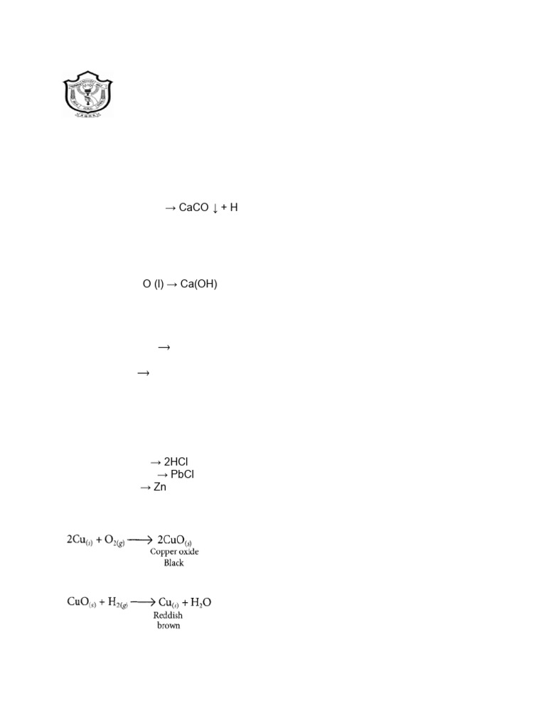 Recap Worksheet 2 of CH 1 Answerkey | PDF