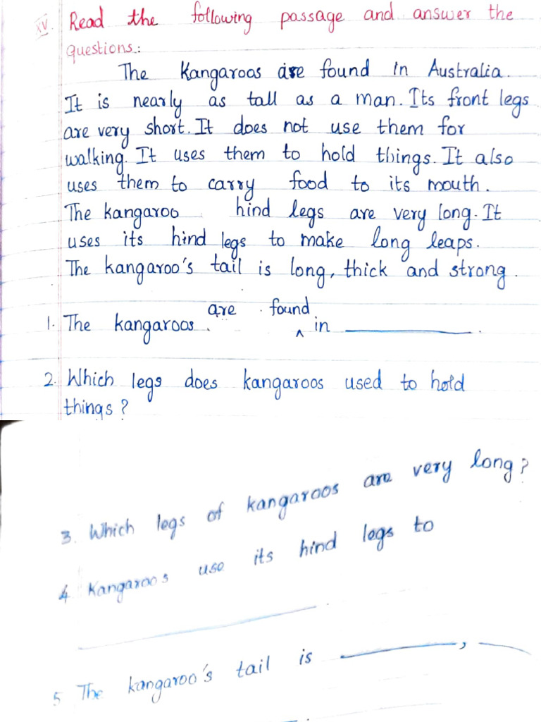 Kangaroo Anatomy and Characteristics | PDF | Chess | Chess Theory