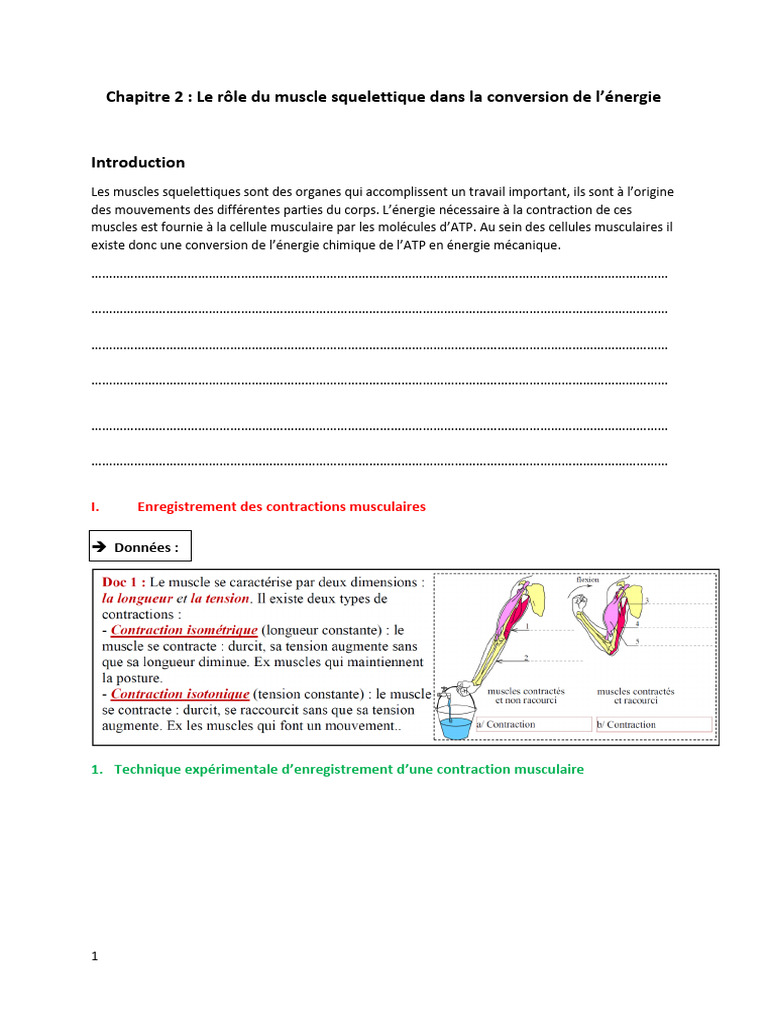 Chapitre 2 Unite 1-4 | PDF | Muscle