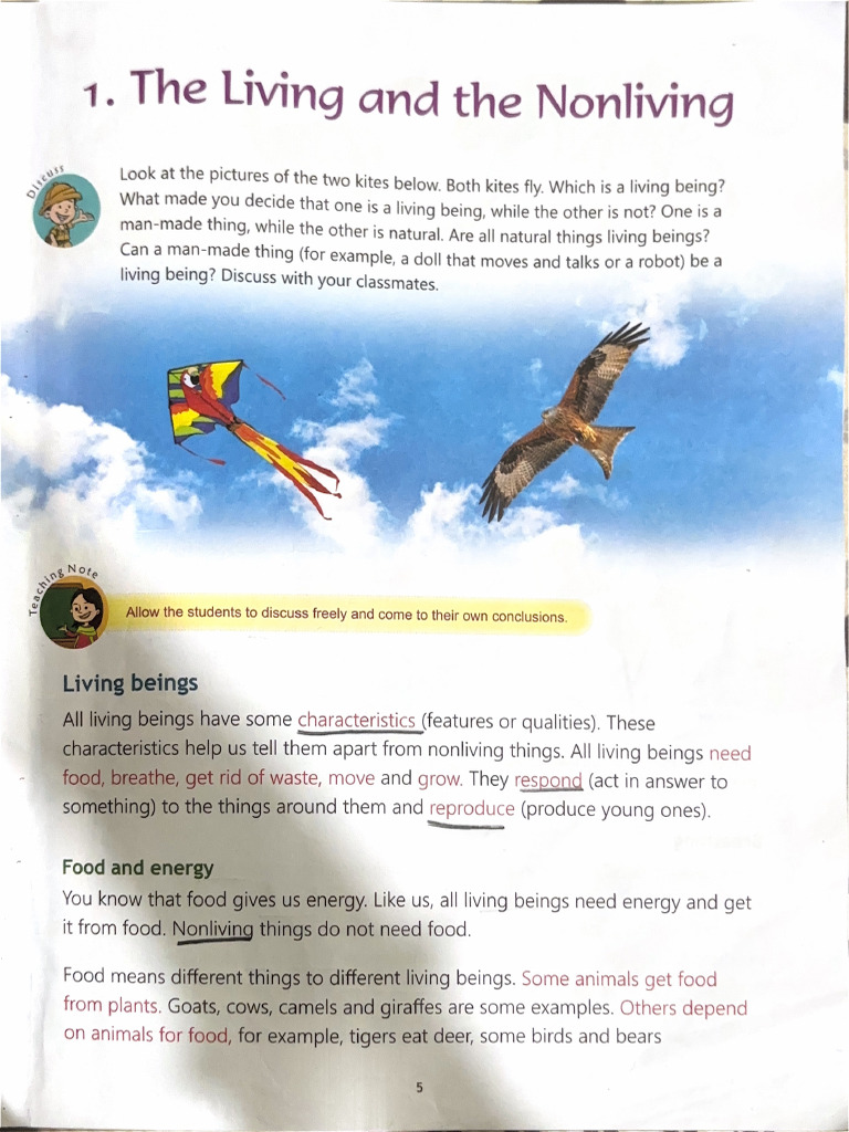 Class 3 Living and Non Living Things | PDF