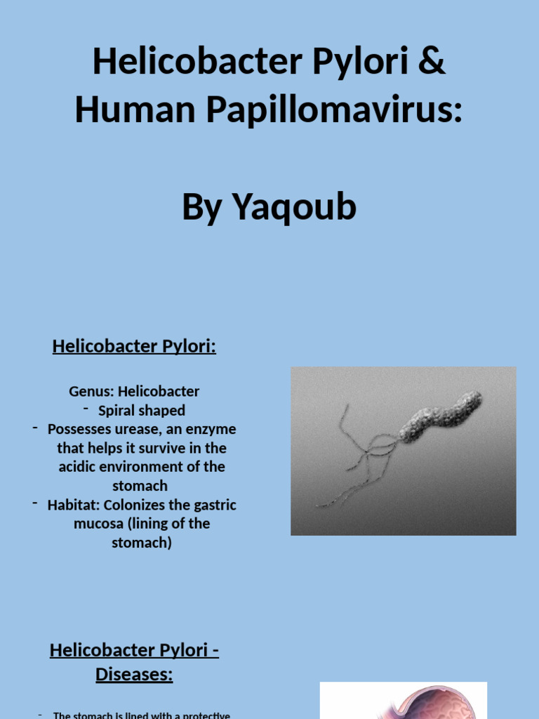 HPV and Helibacter | PDF