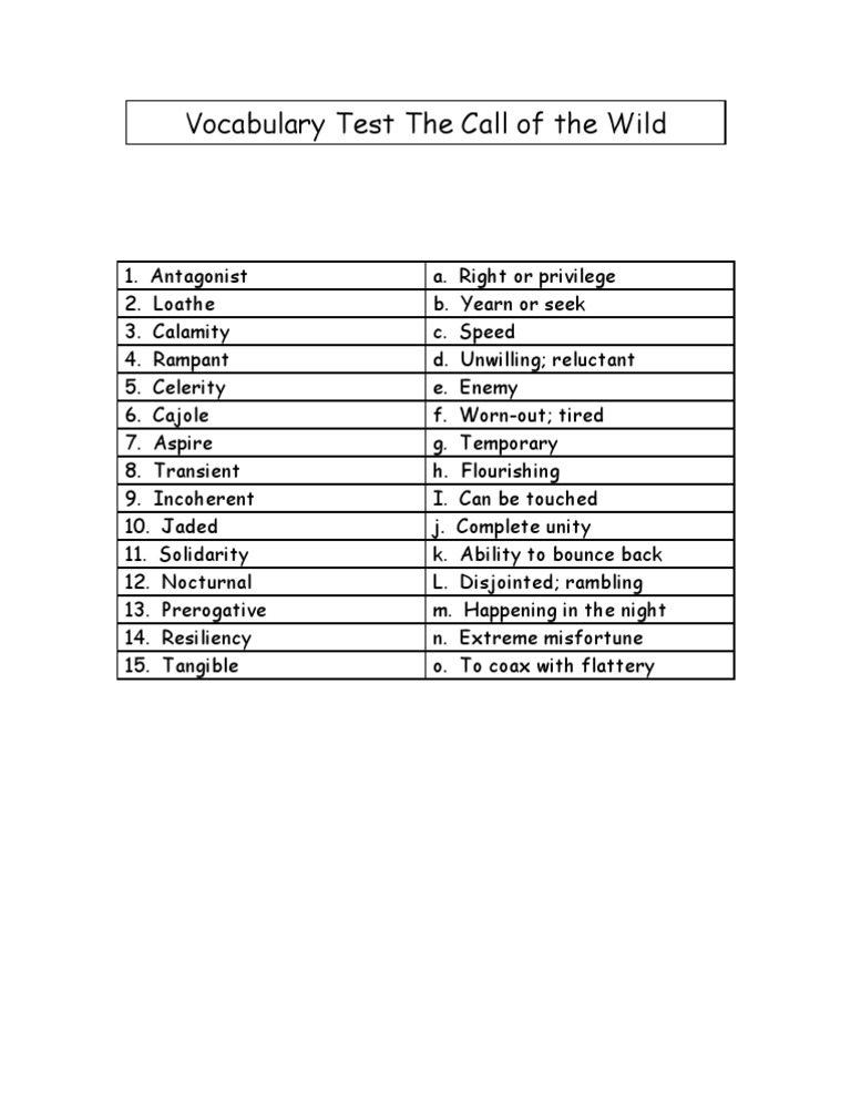Vocabulary Test The Call of The Wild | PDF