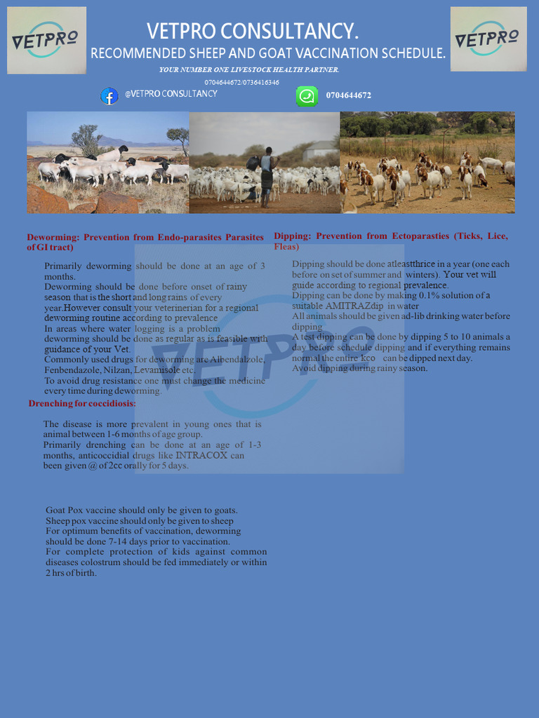 Sheep and Goat Vaccination Schedule | PDF | Sheep | Vaccines