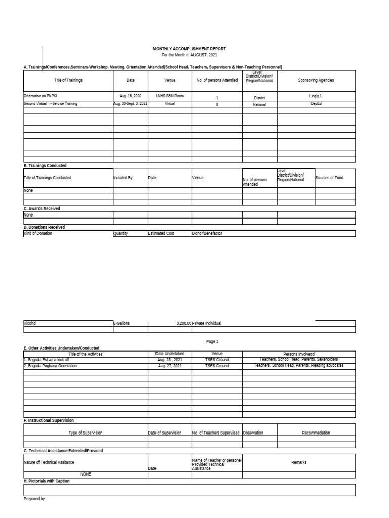 Final Monthly Accomplishment Report | PDF