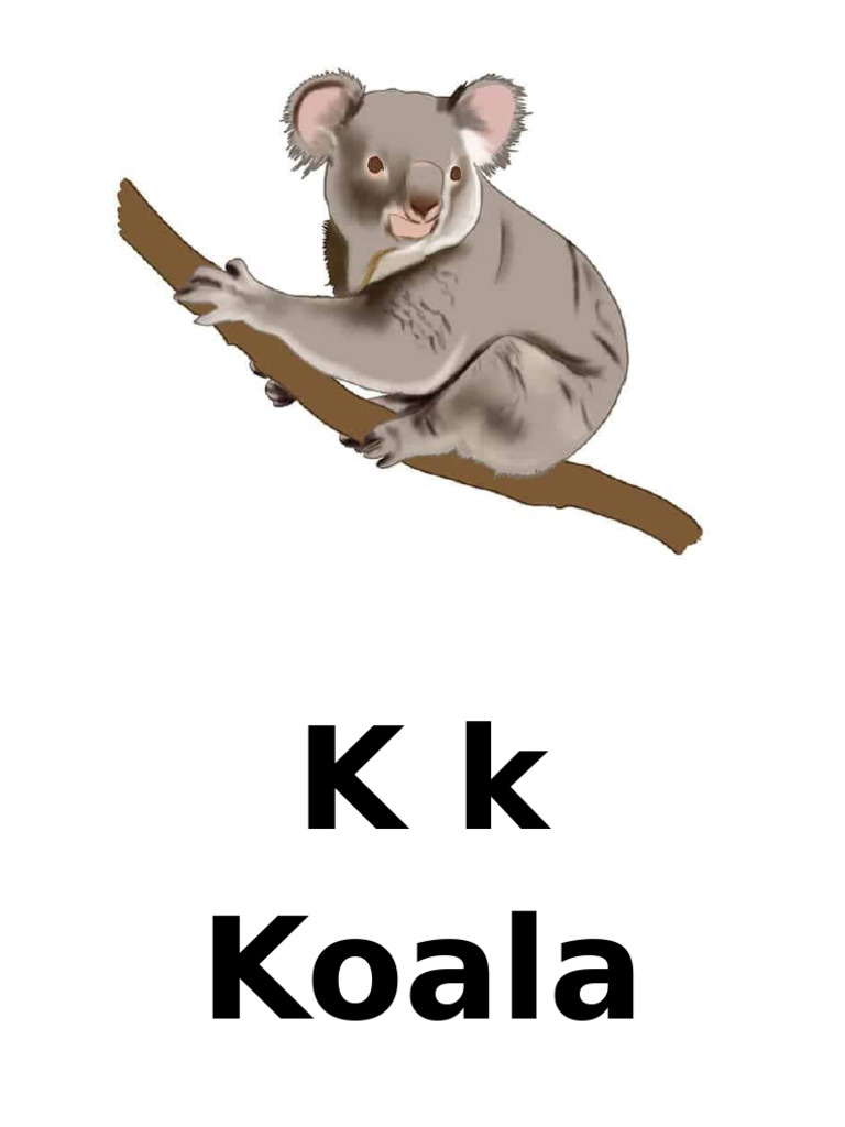 Flashcards Phonics Letter K L | PDF