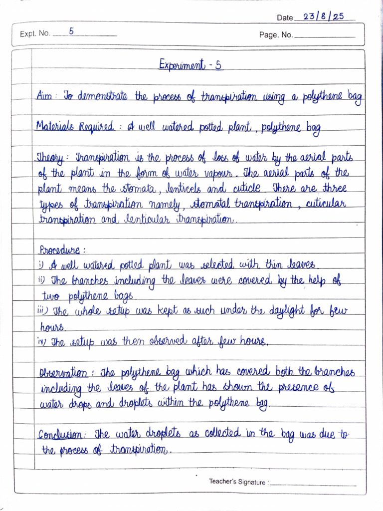 Human Anatomy Experiments Overview | PDF | Zoology | Senses
