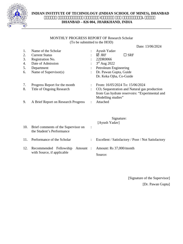 Monthly Progress Report | PDF