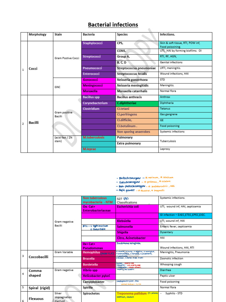 Overview of Bacterial Infections | PDF | Bacteria | Microscopy